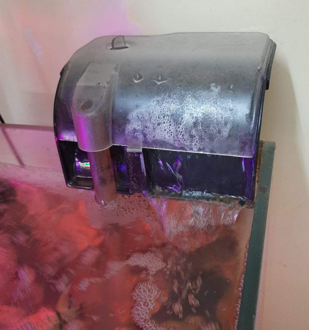 Should You Turn Off Your Aquarium Filter at Night? Pros, Cons & Safe ...